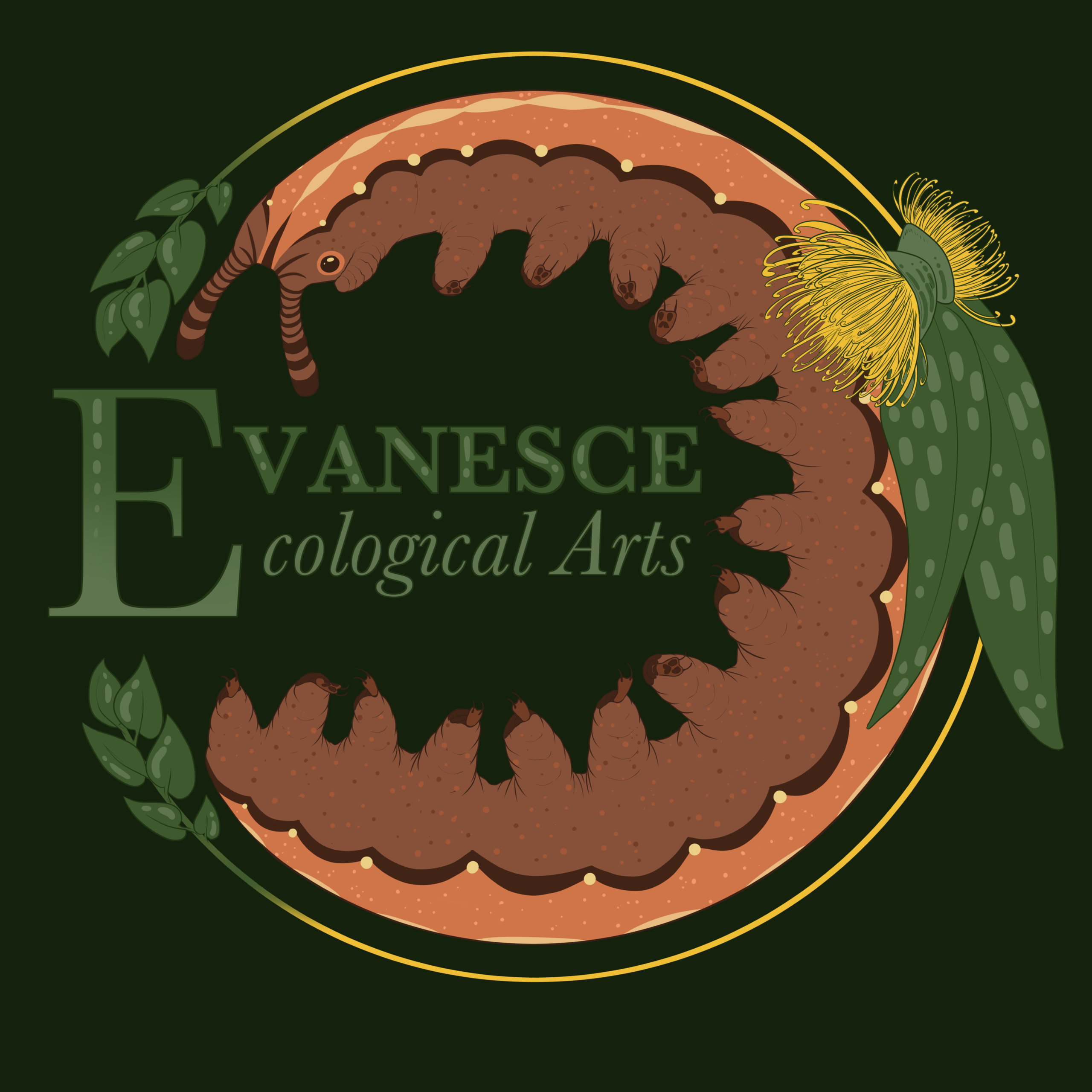 Evanesce - MFC 2026 - Tropical Tails